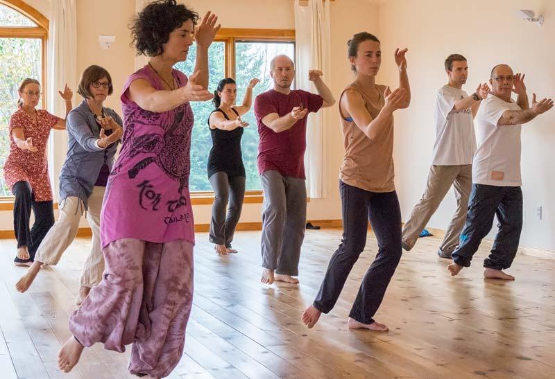 À qui s'adressent le Tai Chi et le Qi Gong ? - Art du Chi Québec